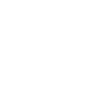 Higos Insurance Services - Discover Somerton